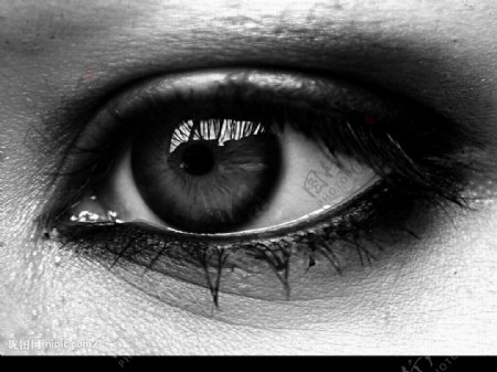 外国女性眼睛图片素材-编号26287879-图行天下